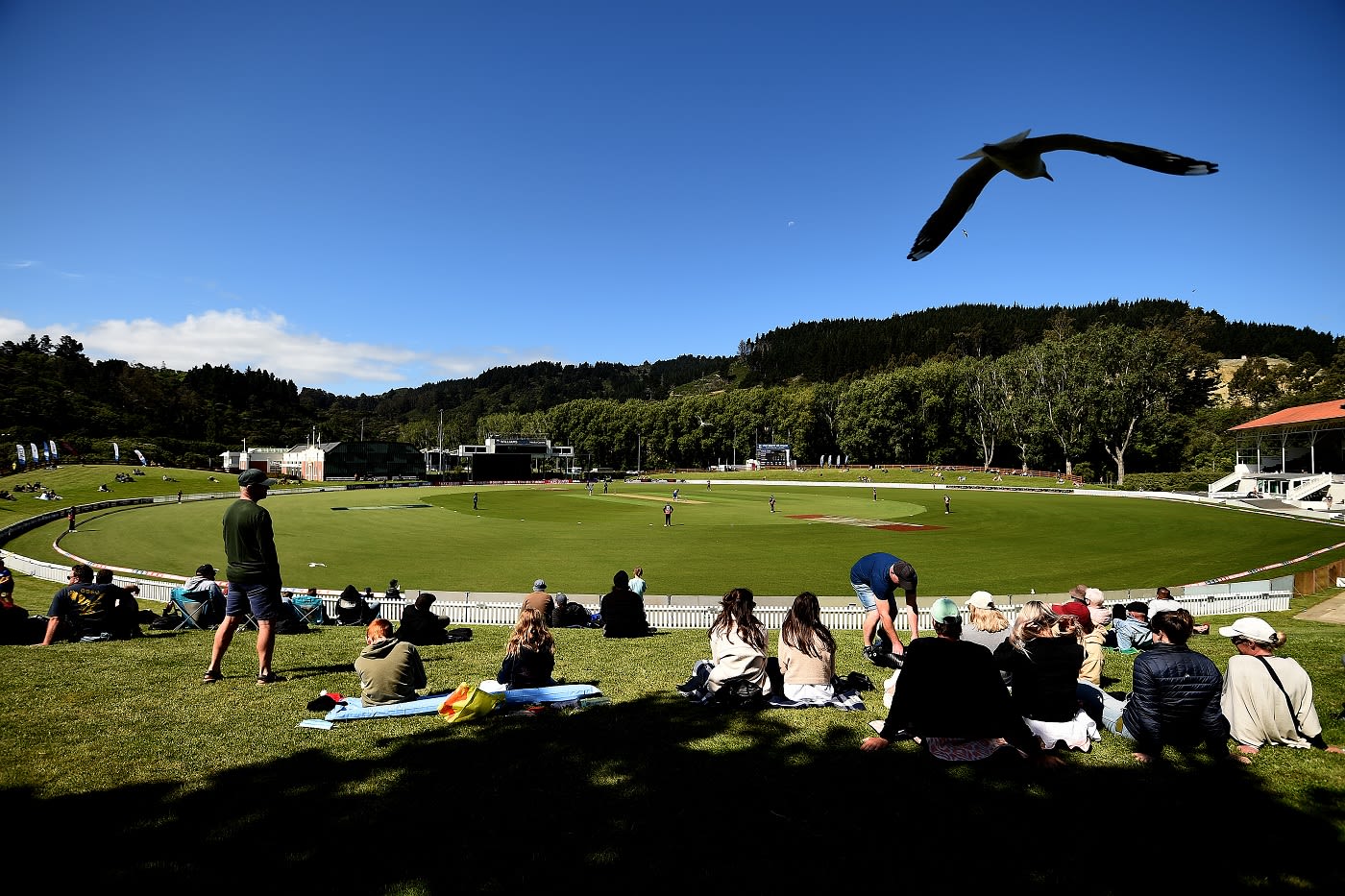 A view of the University Oval ground in Dunedin | ESPNcricinfo.com