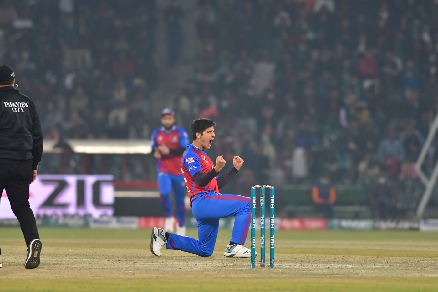 Mir Hamza celebrates | ESPNcricinfo.com