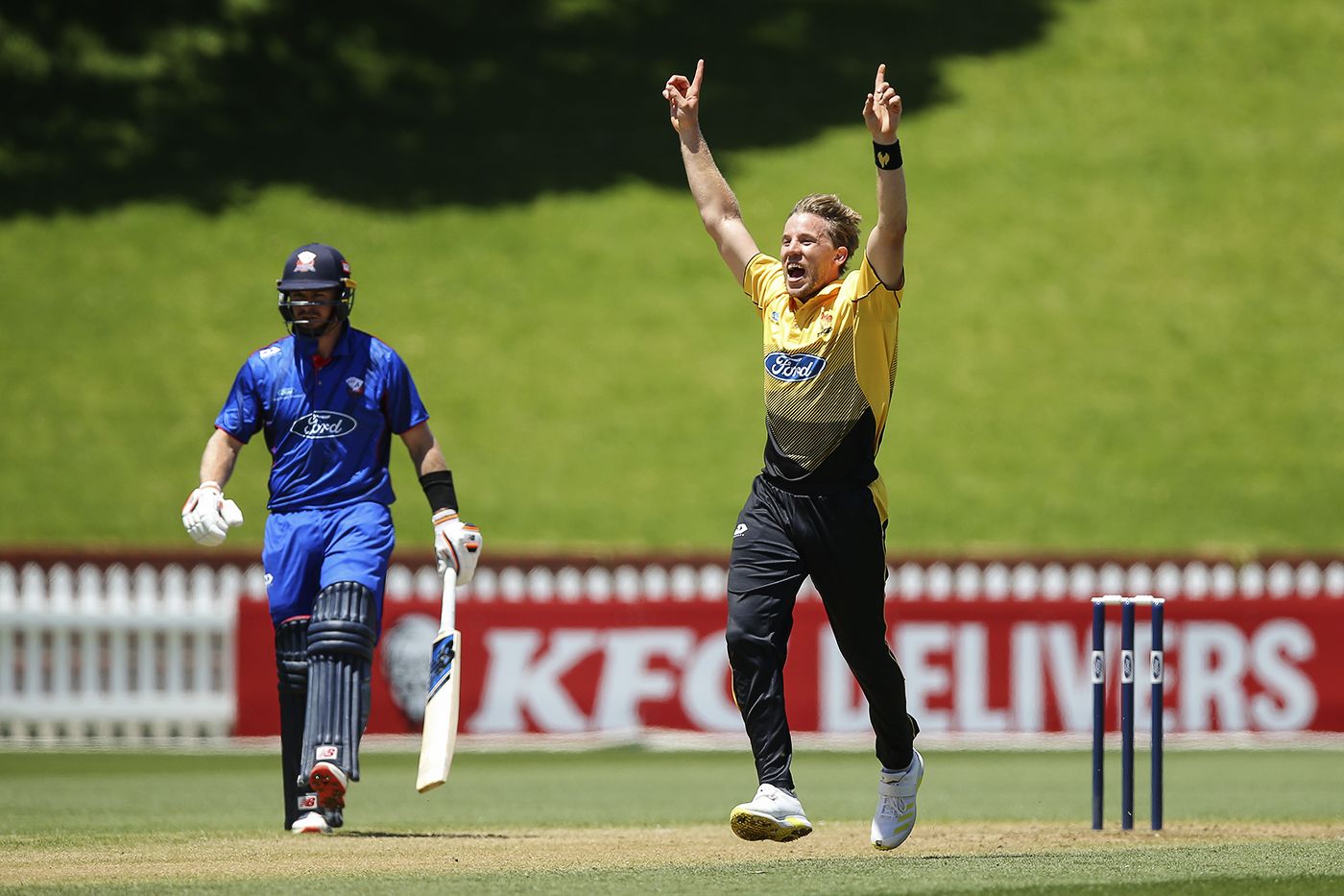 Logan van Beek appeals for a wicket | ESPNcricinfo.com