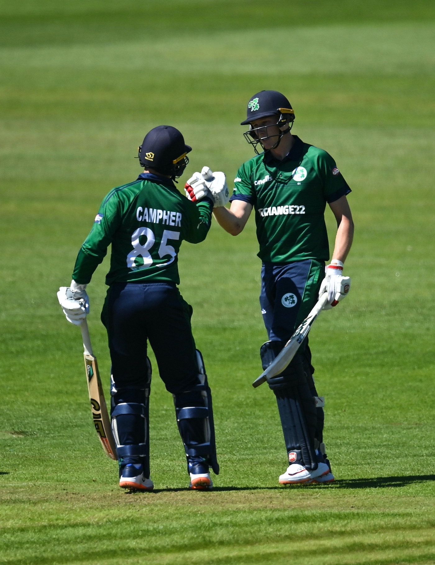 Harry Tector is congratulated upon getting to his half century by his ...