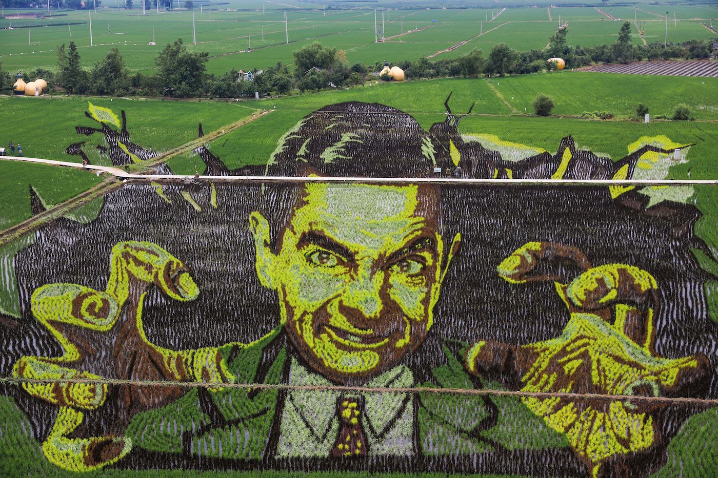 An image of Mr Bean is created using different varieties of rice in a ...