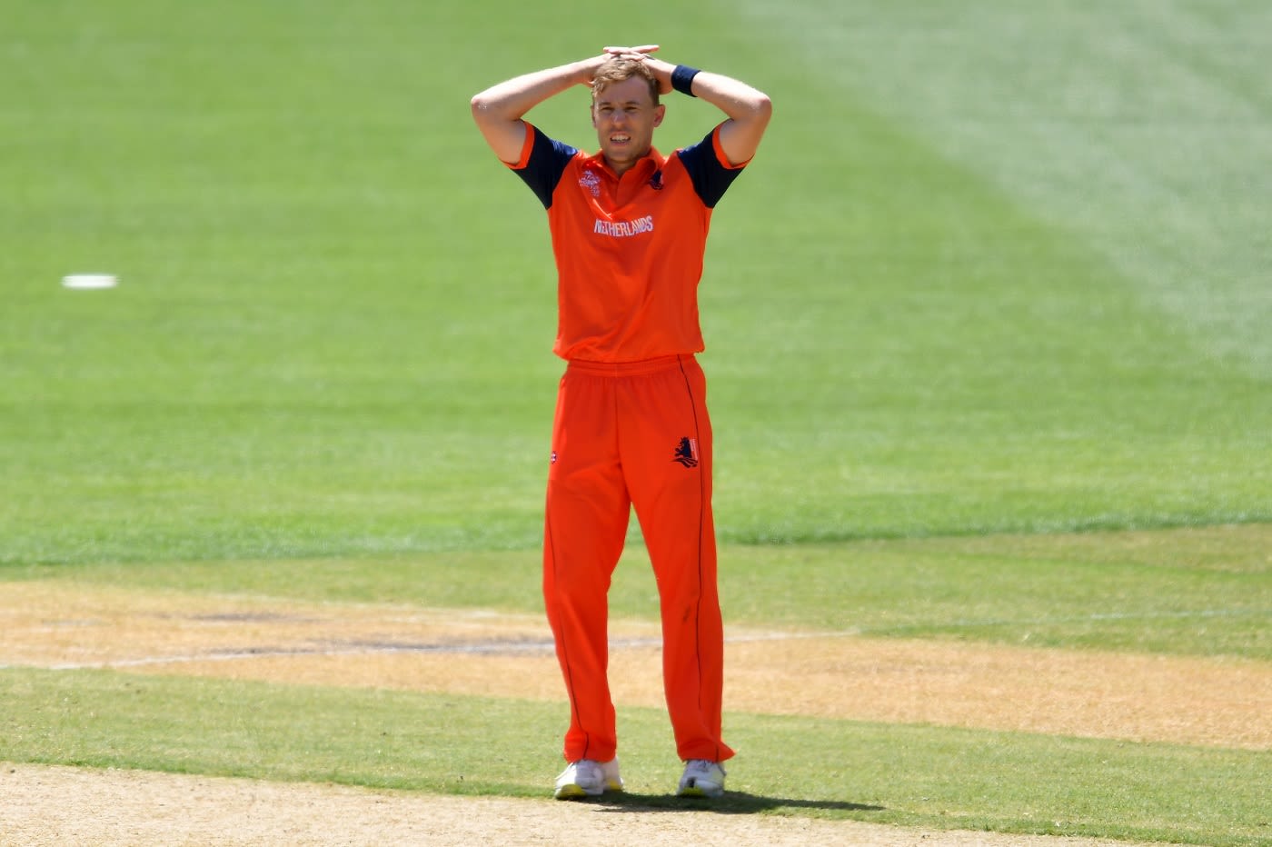 Logan van Beek has his hands on his head | ESPNcricinfo.com