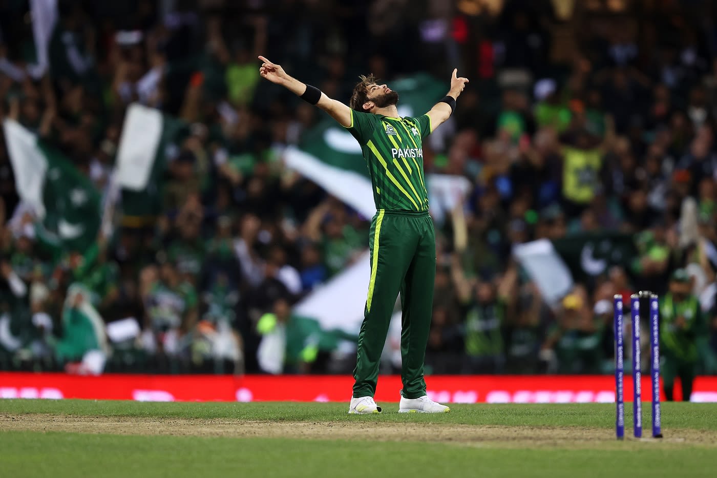 Shaheen Afridi celebrates after bowling Kane Williamson for 46 ...