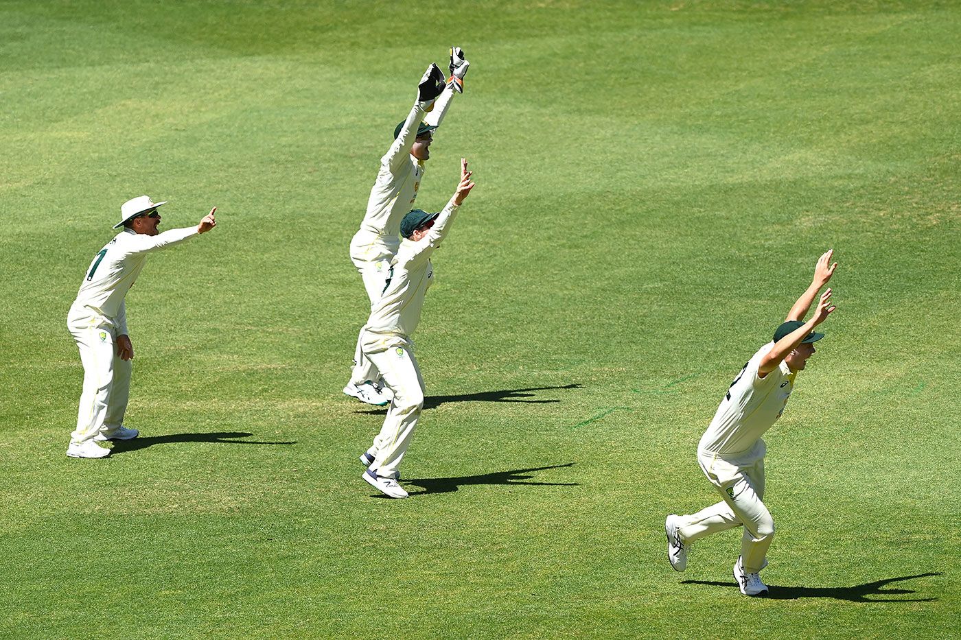 Australia's cordon goes up in an appeal | ESPNcricinfo.com
