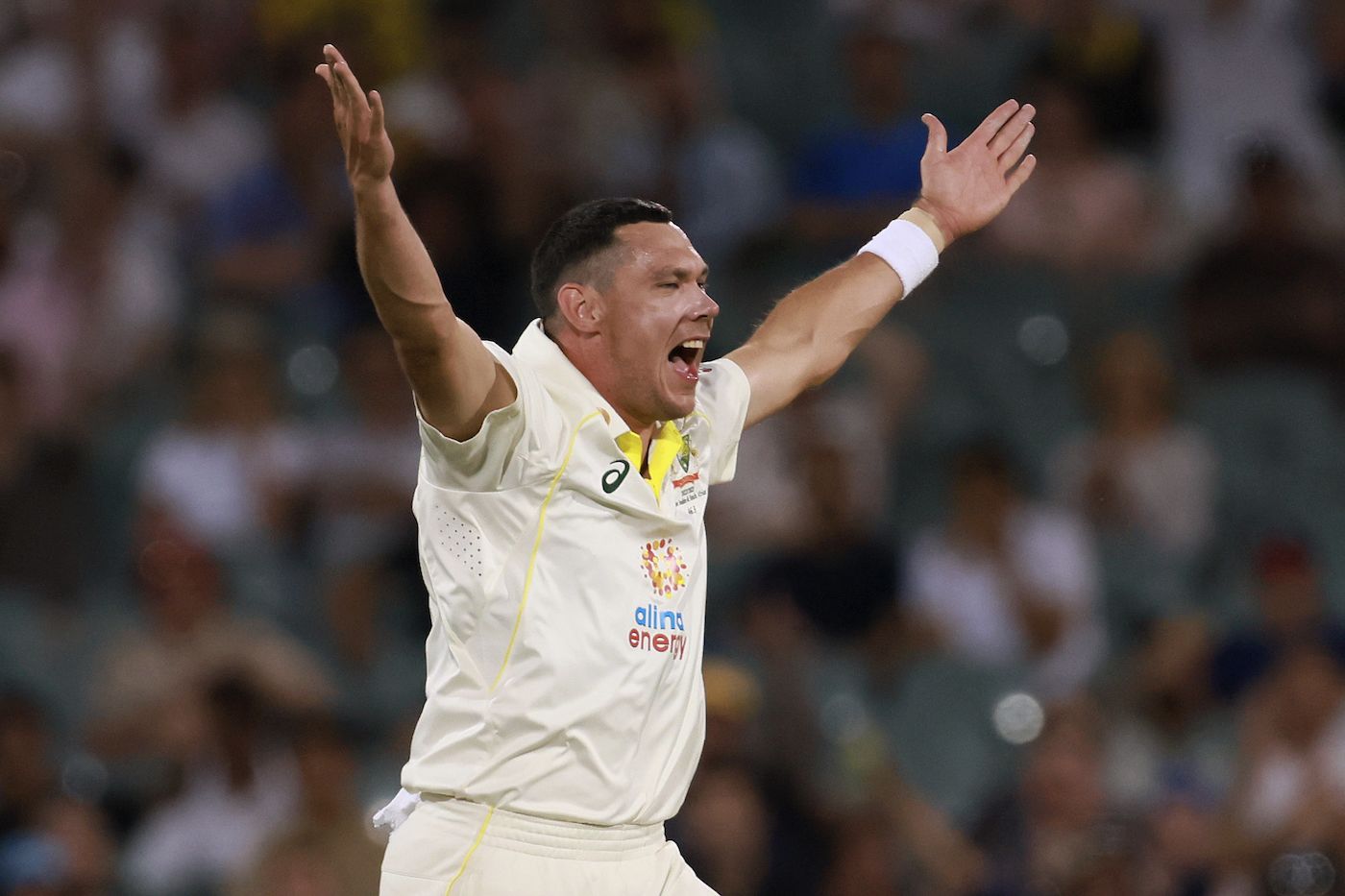 Scott Boland goes up in celebration | ESPNcricinfo.com