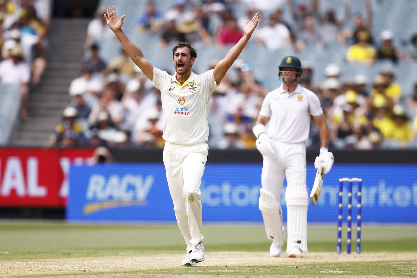 Mitchell Starc belts out an appeal | ESPNcricinfo.com