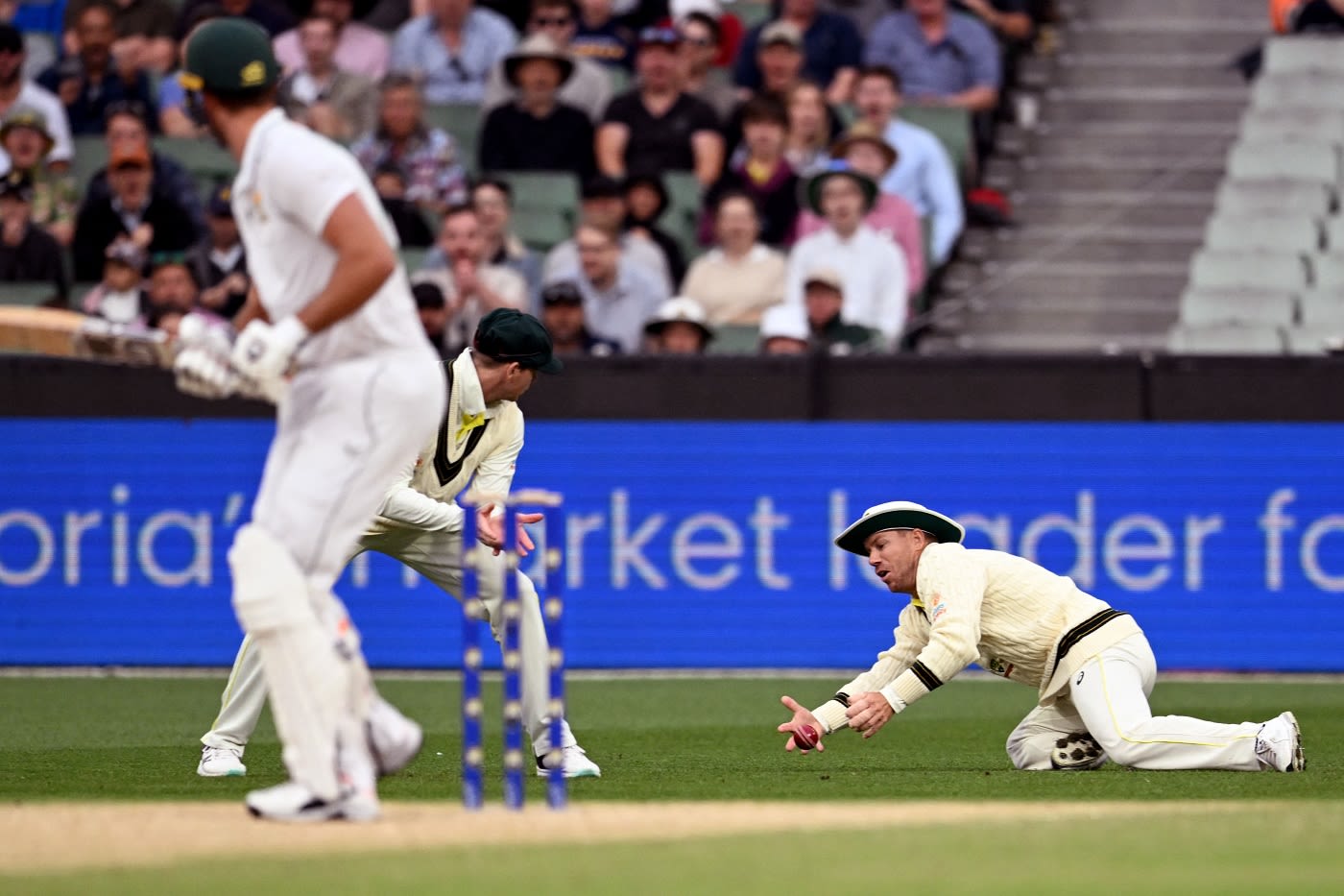 David Warner failed to hold on to a tricky chance at first slip ...