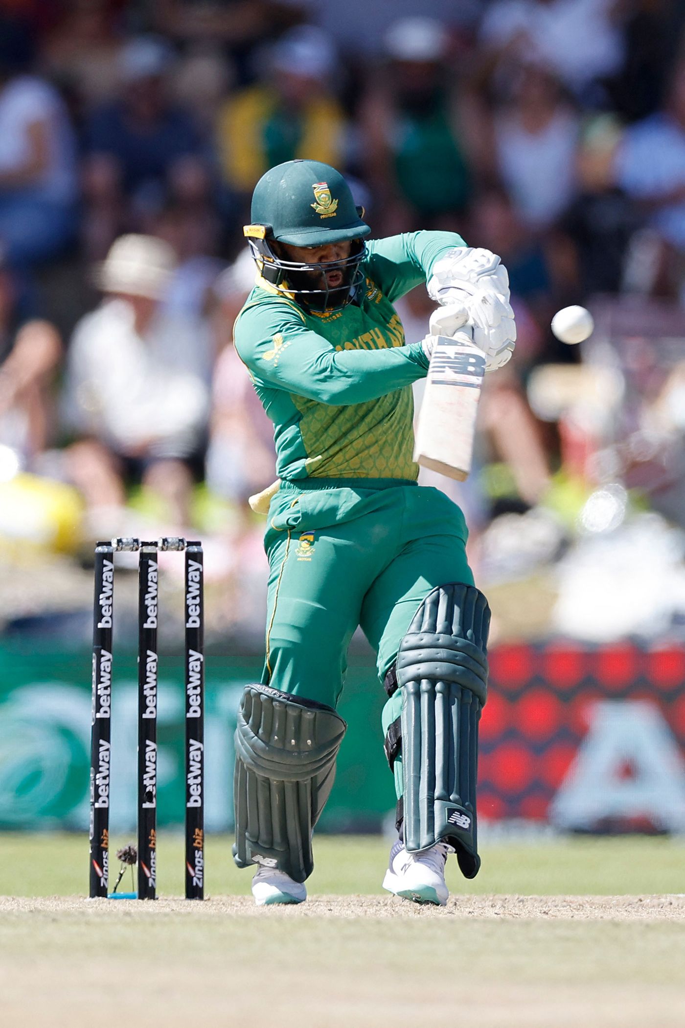 Temba Bavuma launches into a pull | ESPNcricinfo.com