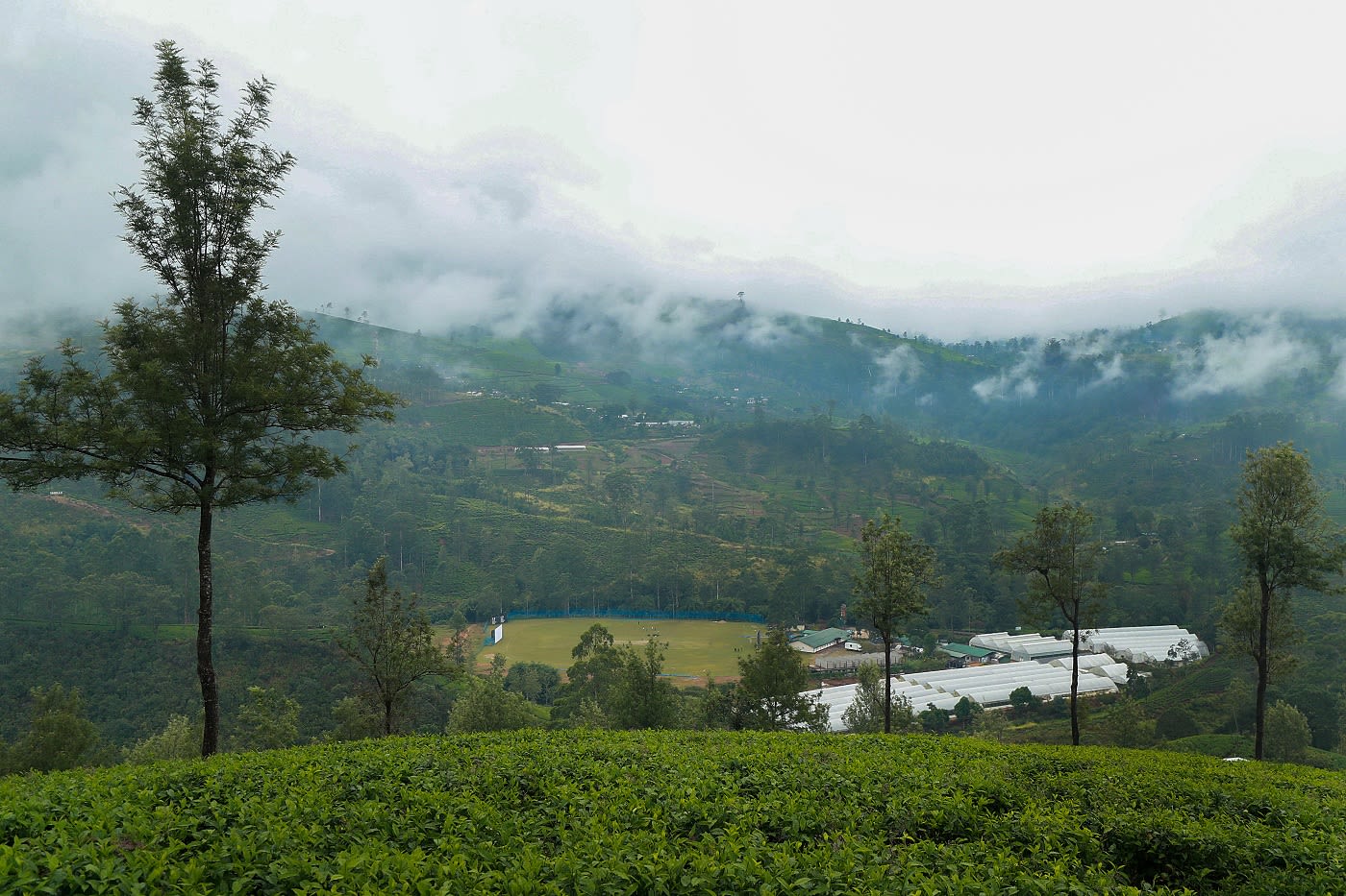 The Radella Cricket Ground in the backdrop of tea gardens and mountains ...