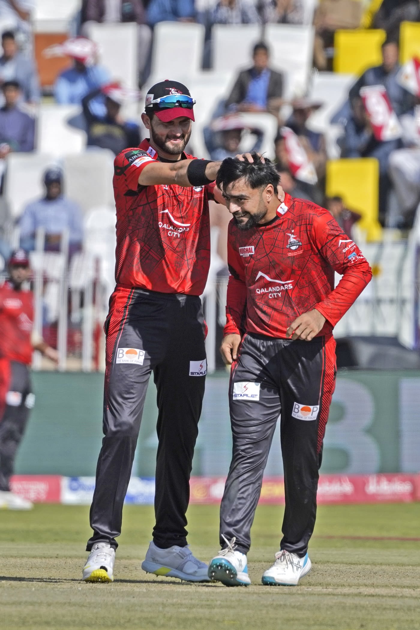 Shaheen Afridi celebrates with Rashid Khan after a wicket falls ...