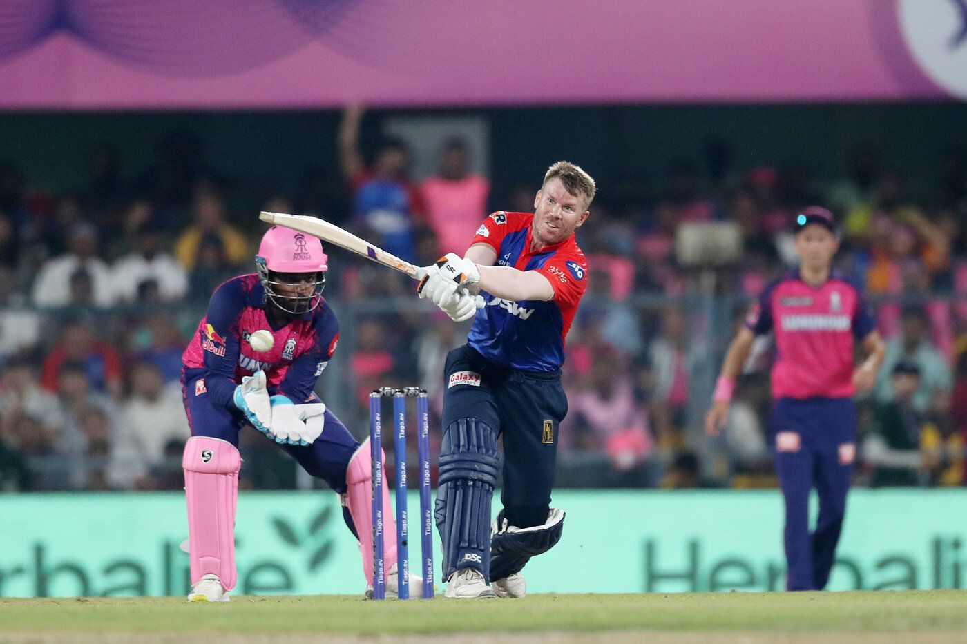David Warner struck a half-century but couldn't quite get going ...