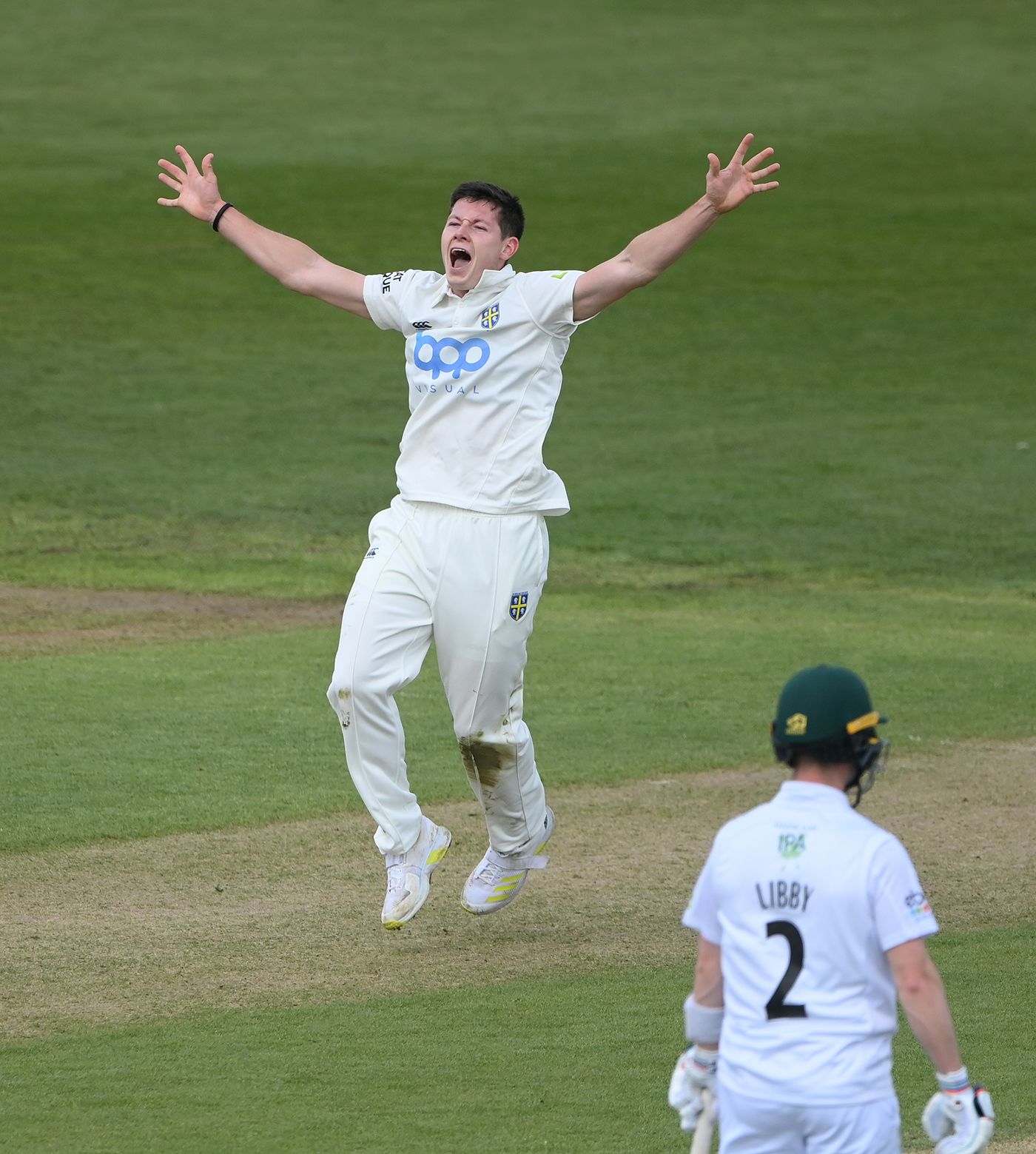 Matthew Potts appeals for a wicket | ESPNcricinfo.com