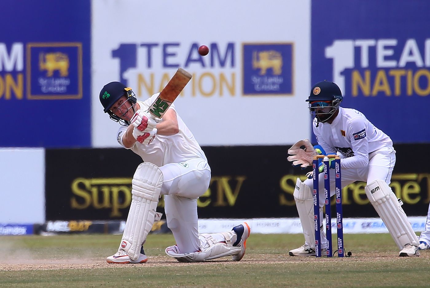 Harry Tector hits a slog-sweep on his way to a battling half-century ...