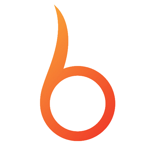 The Blaze Cricket Team | BLZ | News & Matches