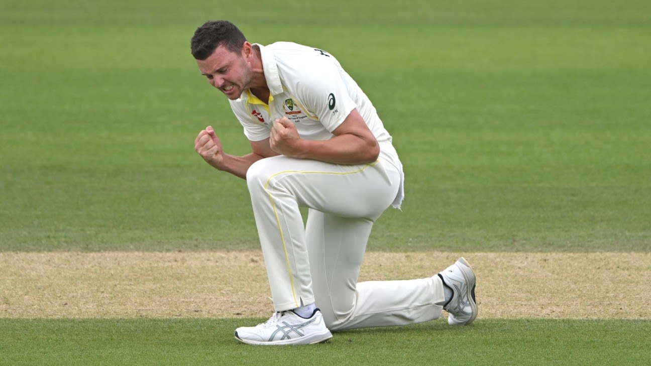 There's more where McGrath came from | ESPNcricinfo