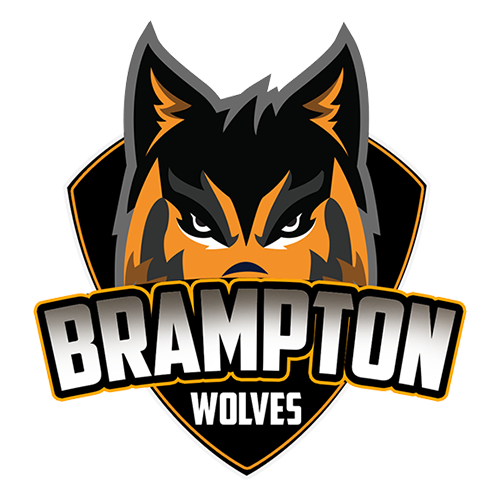 Brampton Wolves Cricket Team | BRW | News & Matches