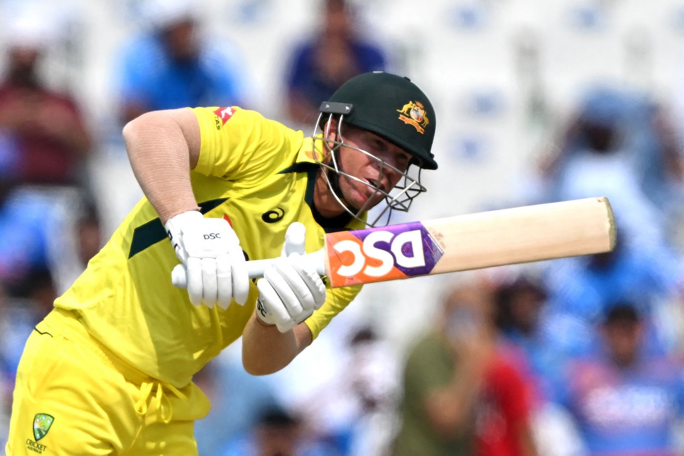 David Warner rode his luck to get to a 49-ball half-century ...