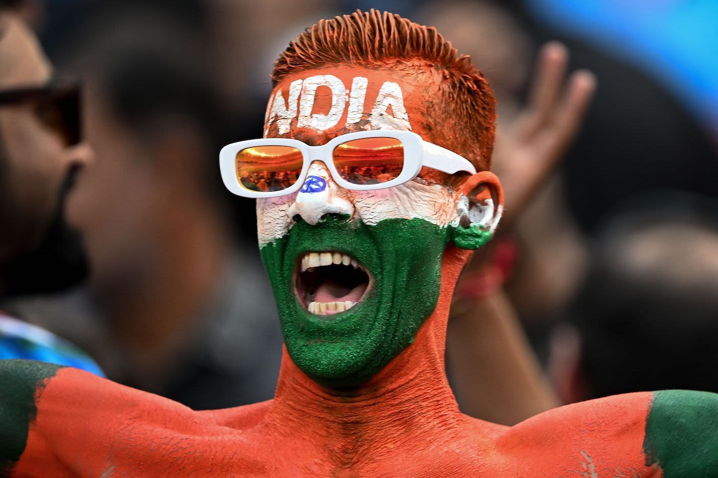 An Indian fan, with the tricolour painted on him, having the time of ...