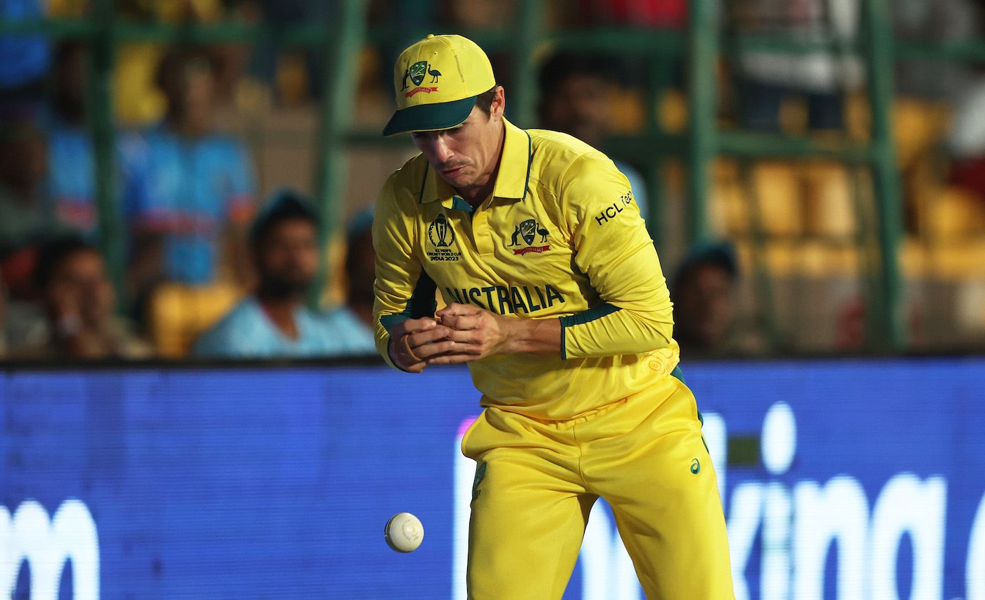 Sean Abbott put down a catch off Abdullah Shafique near the boundary ...