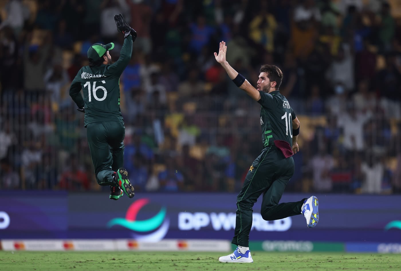 Mohammad Rizwan's excitement makes him a foot taller than Shaheen ...