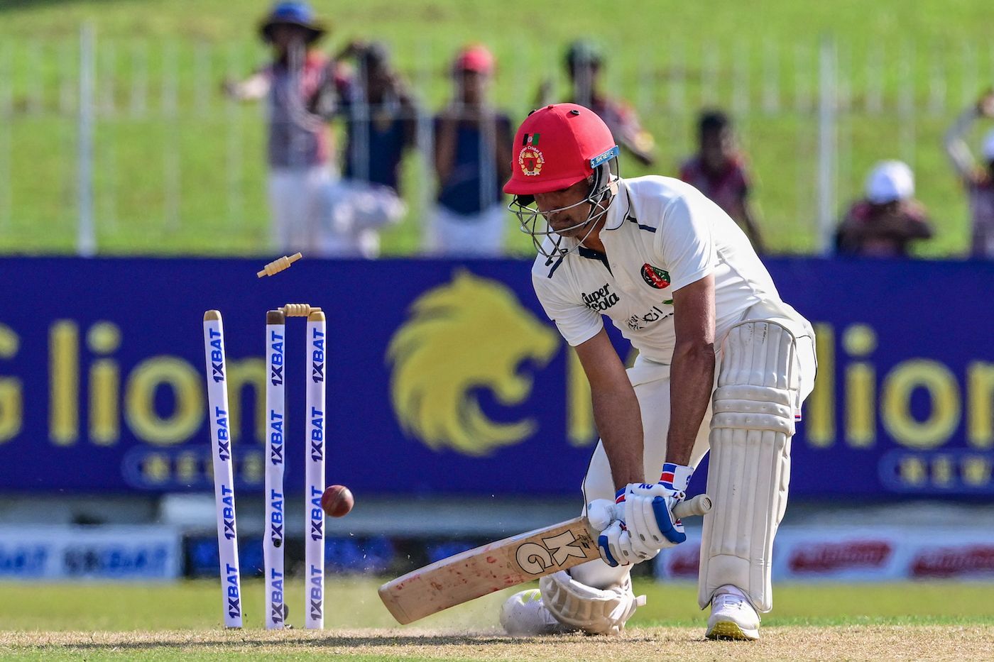 Mohammad Saleem's wicket signalled the end of the innings ...