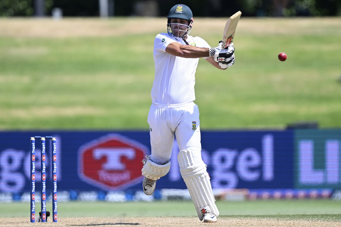 David Bedingham took on the short ball and got a fifty to his name ...