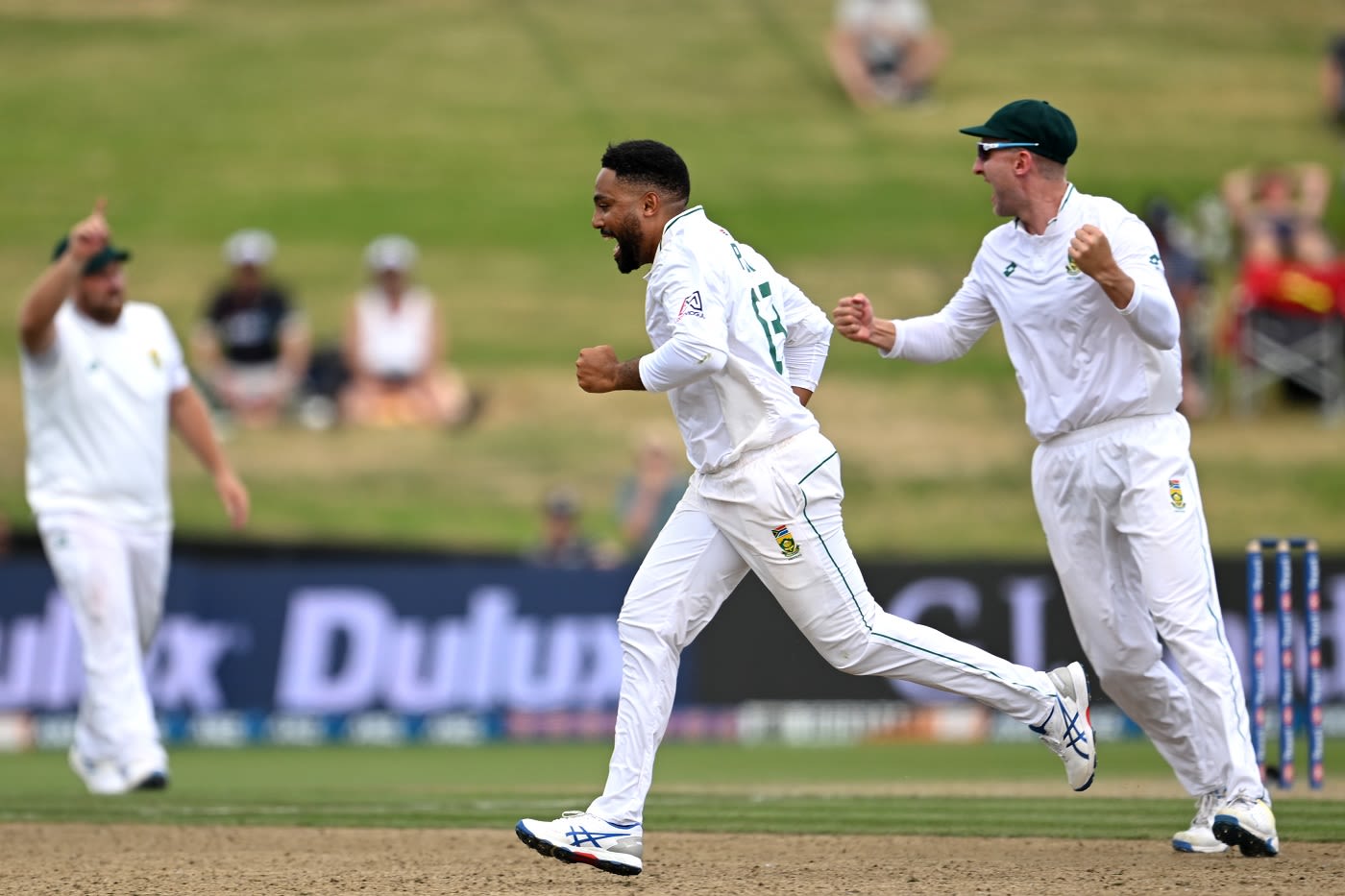 Dane Piedt takes off after dismissing Kane Williamson | ESPNcricinfo.com