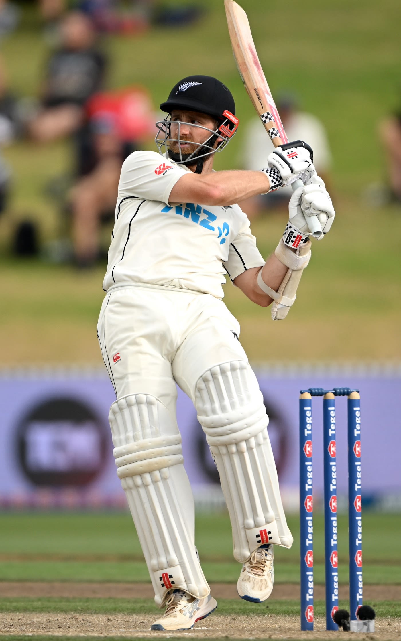 Kane Williamson led the charge for New Zealand in their second innings ...