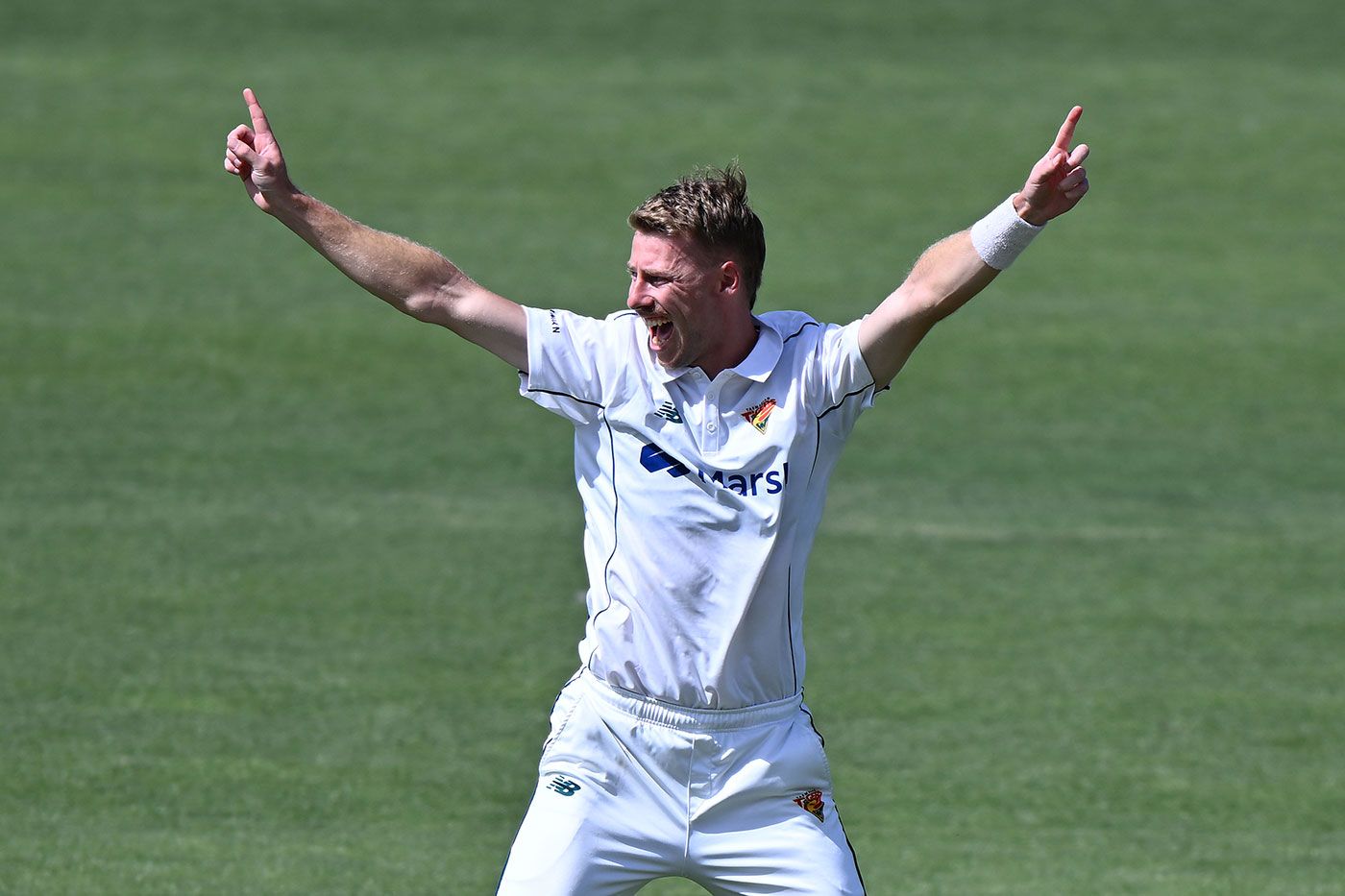 Riley Meredith struck back for Tasmania | ESPNcricinfo.com