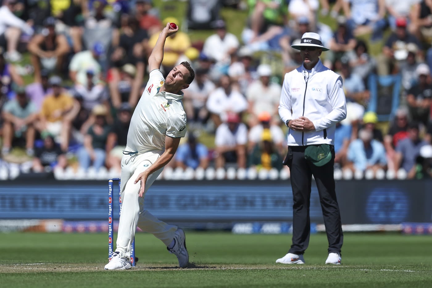Josh Hazlewood in his delivery stride | ESPNcricinfo.com