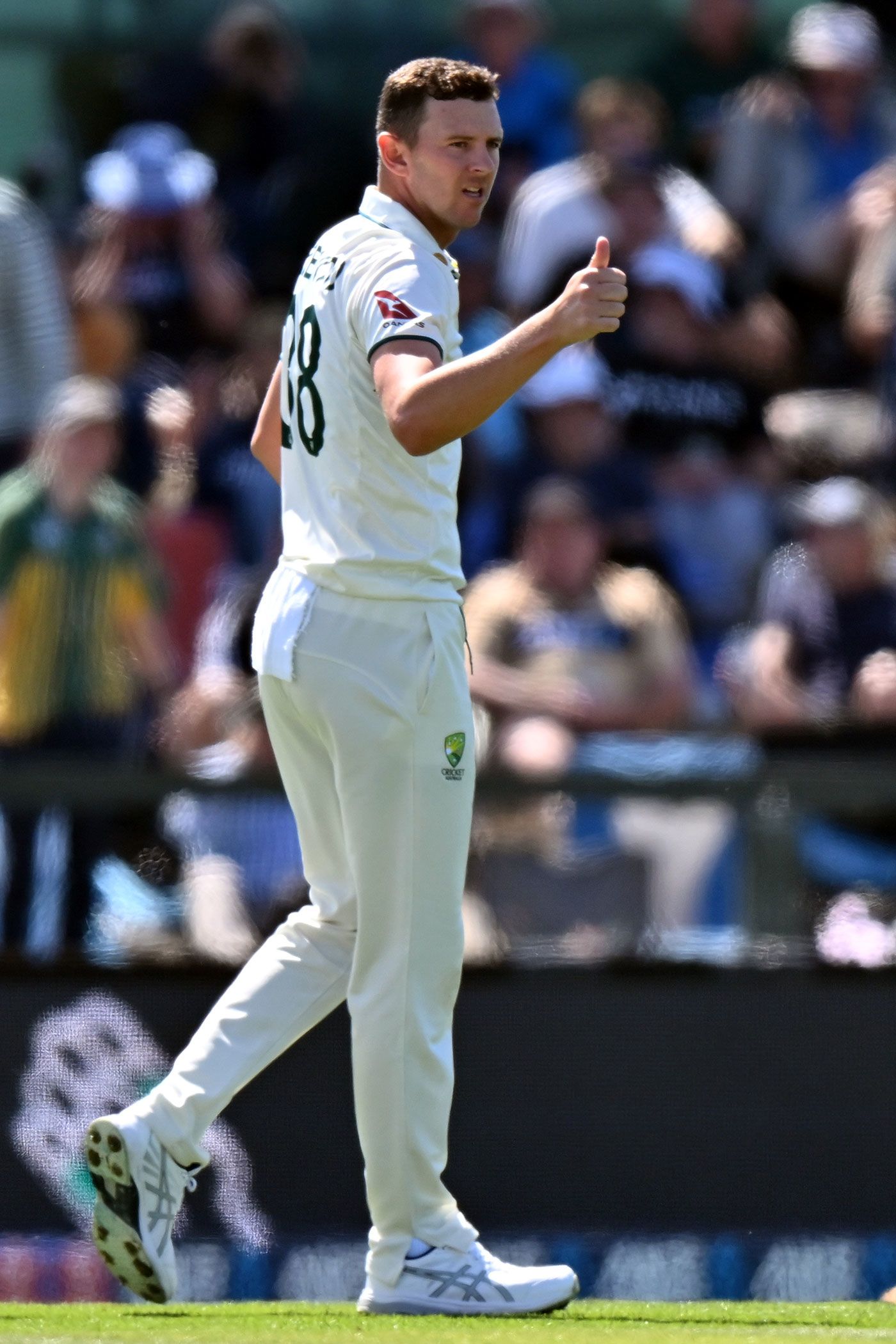 Thumbs up, indeed, for Josh Hazlewood | ESPNcricinfo.com