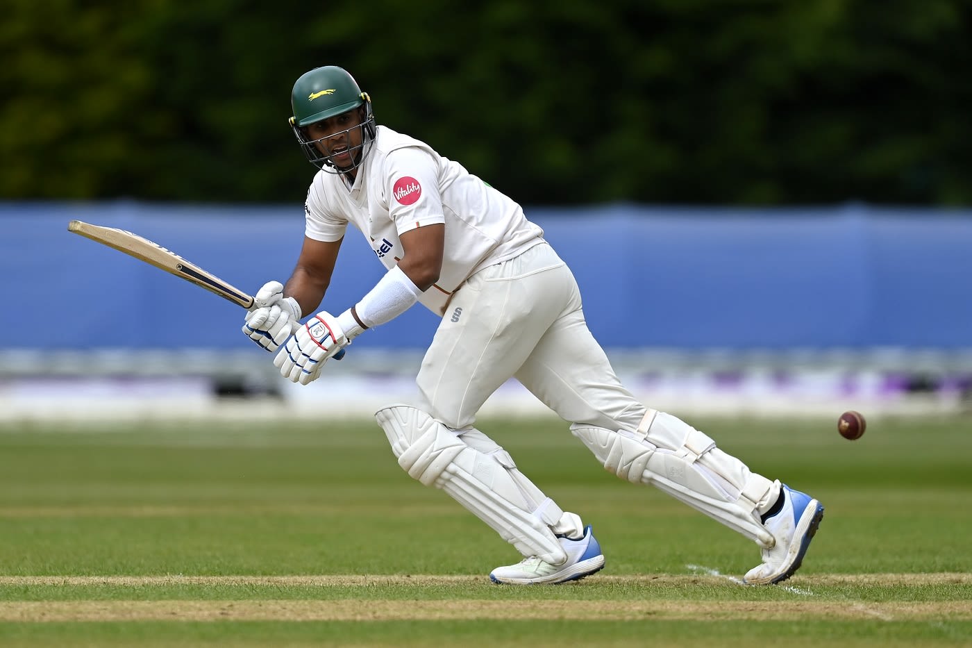 Rishi Patel helped put on a fifty opening stand | ESPNcricinfo.com