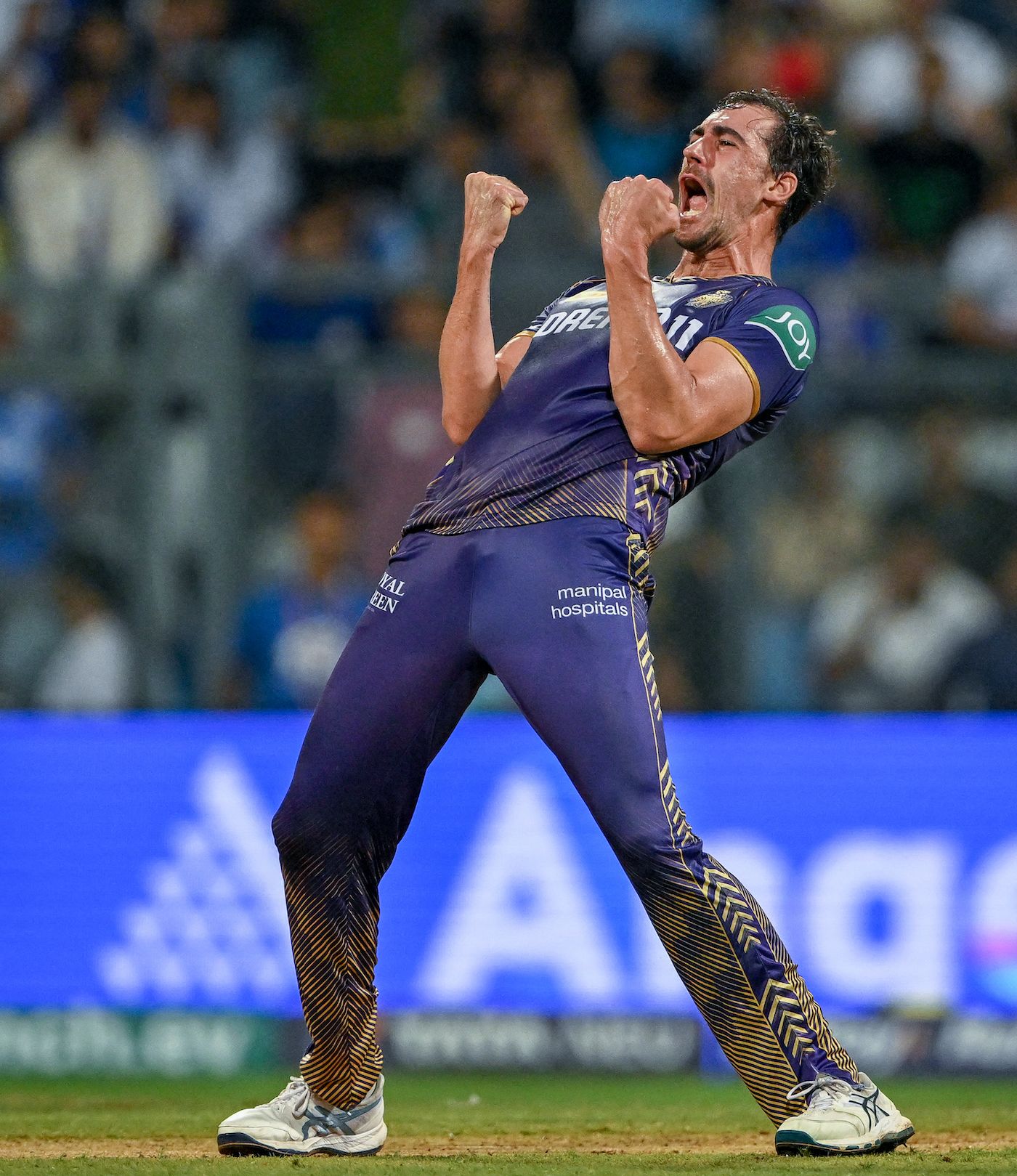 Mitchell Starc had a big say in the outcome | ESPNcricinfo.com