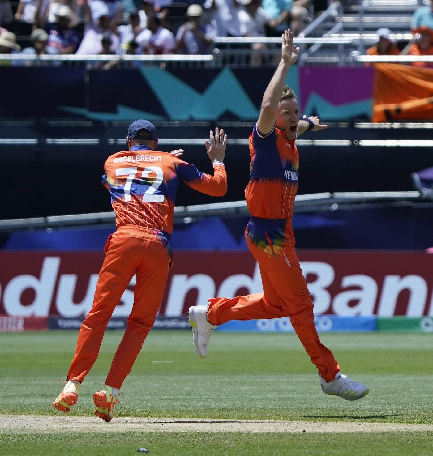 Logan van Beek had Reeza Hendricks' number | ESPNcricinfo.com