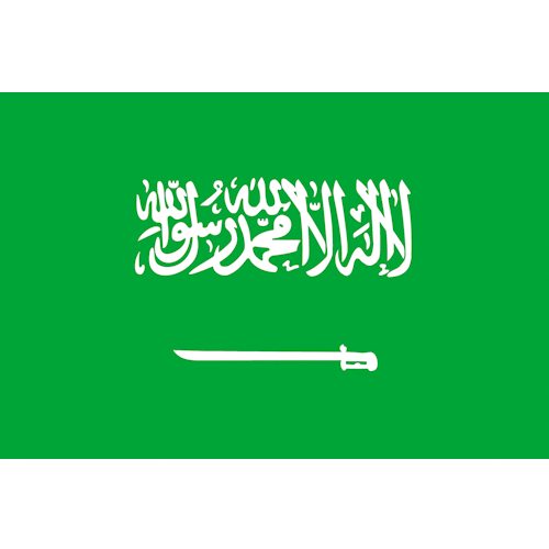 Saudi Arabia Cricket Team Schedule, Results & Timetable