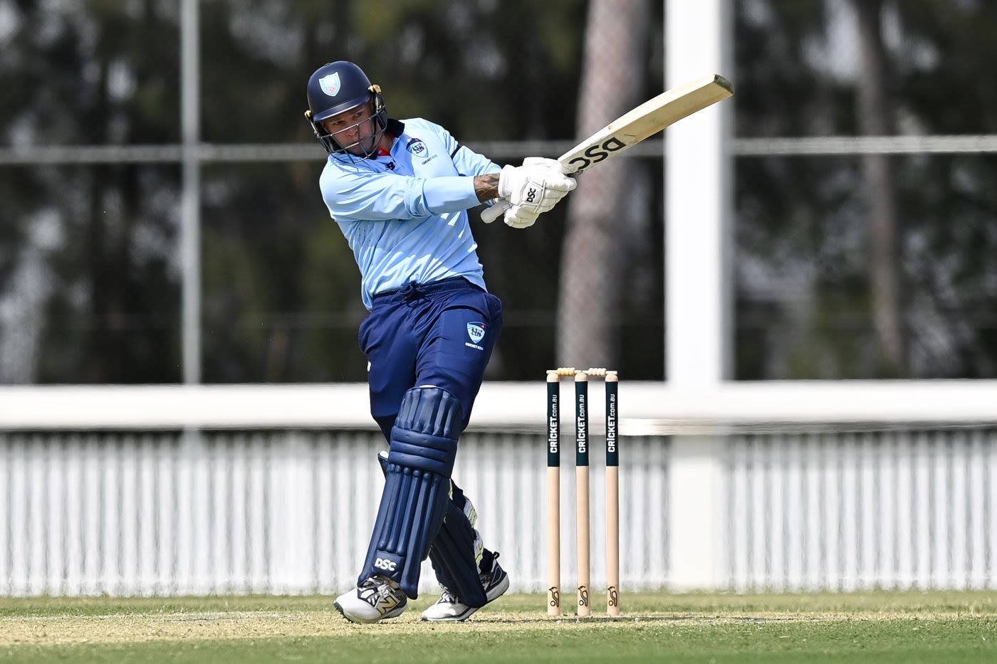 Josh Philippe pulls through the leg side | ESPNcricinfo.com