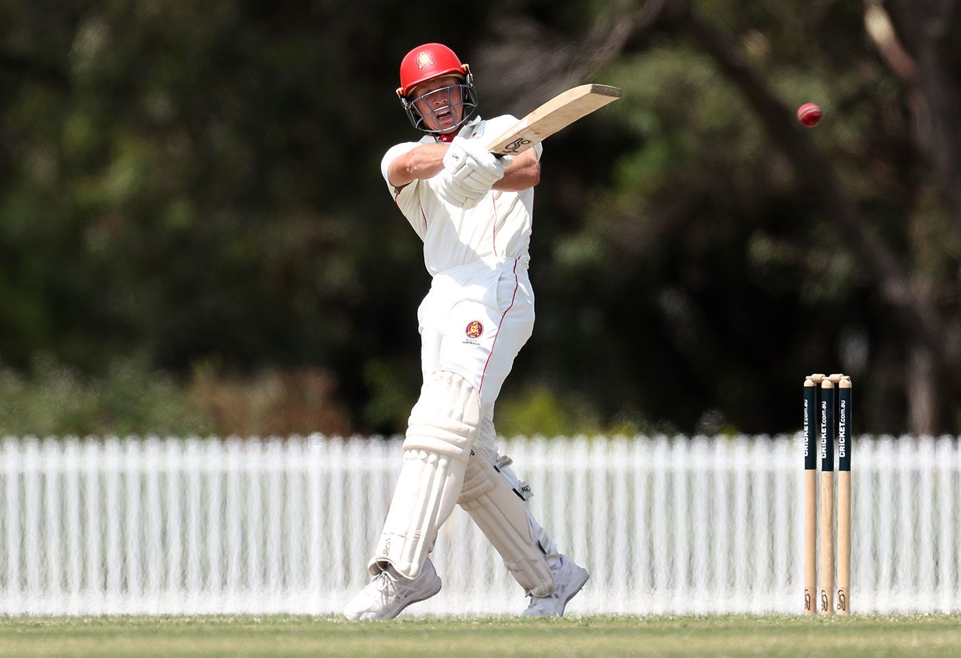 Nathan McSweeney's hundred guided South Australia to a draw ...