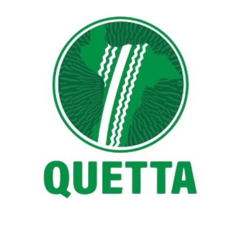 Quetta Region Cricket Team | QET News, Matches, Results, Squad | IPL 2026