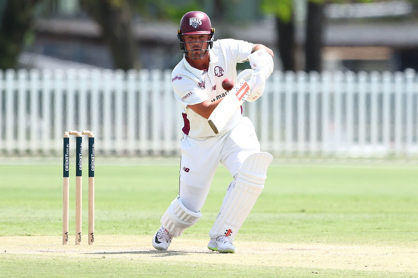Ben McDermott ensure Queensland survived despite following on ...