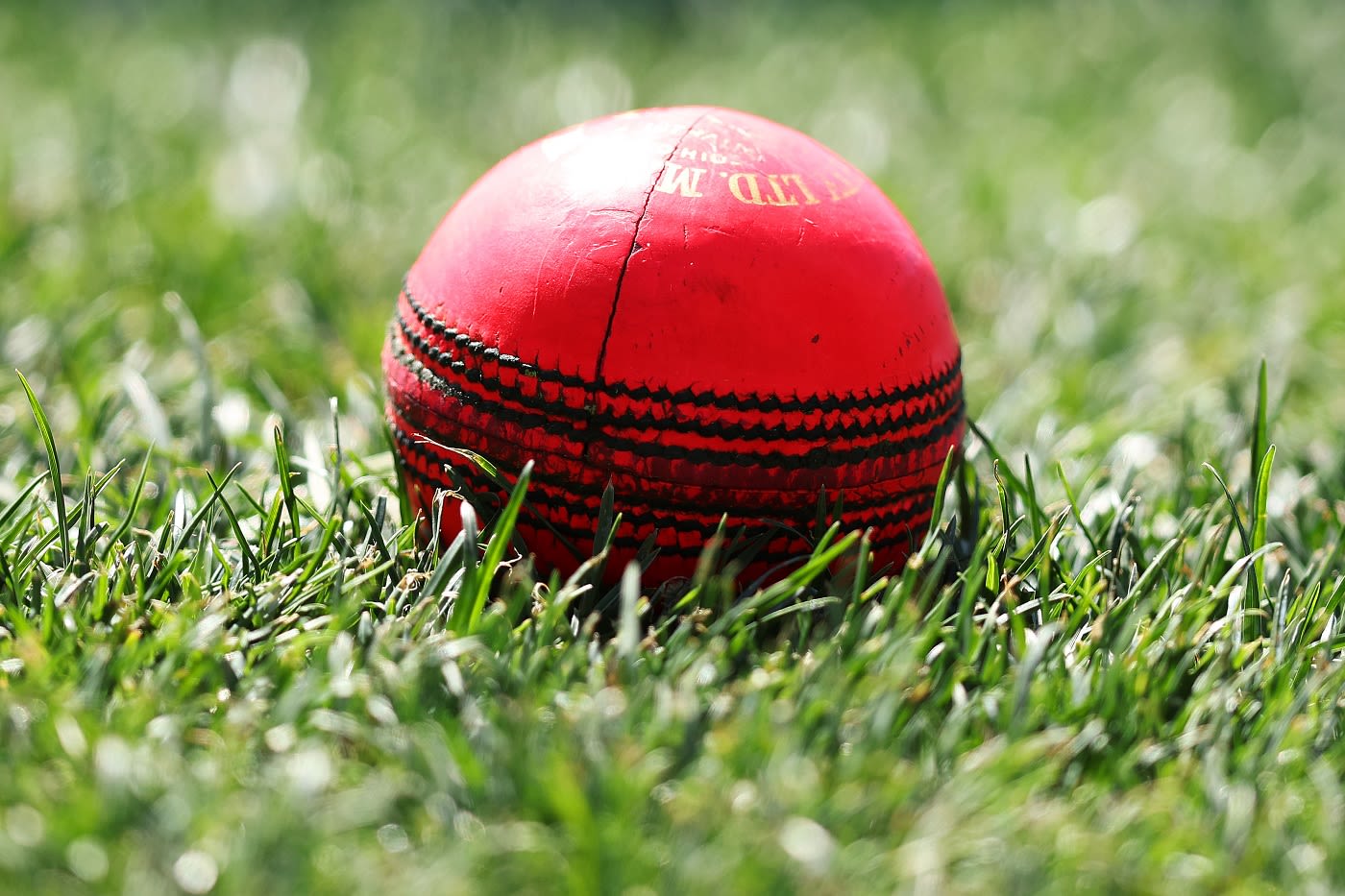 The pink ball rests in the outfield with its black seam clearly visible ...