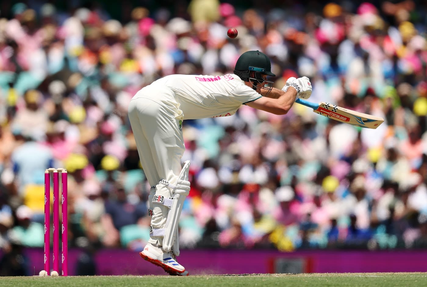 Beau Webster rode out some testing bowling during his debut Test ...