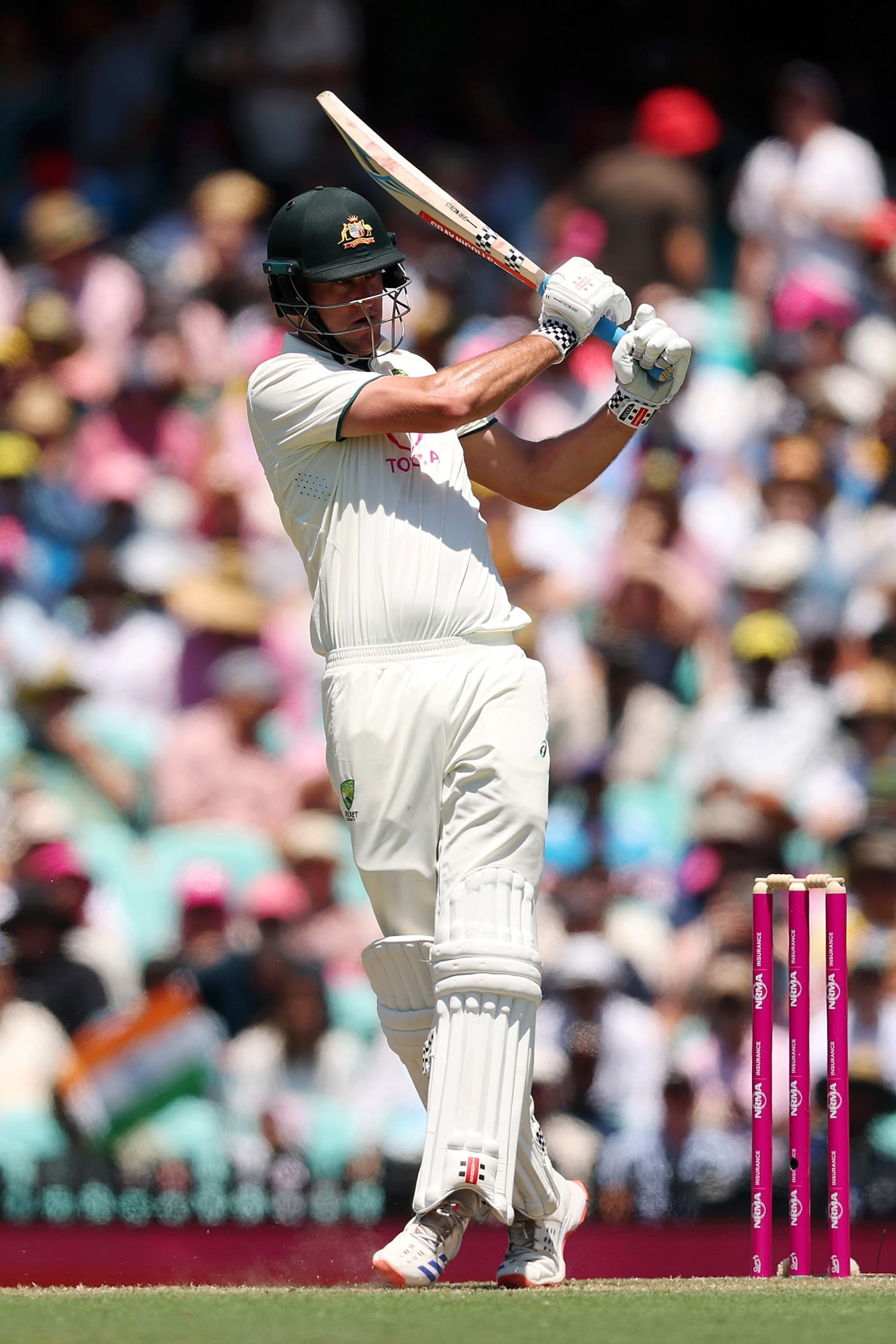 Beau Webster played a crucial hand after walking in at 39 for 4 ...