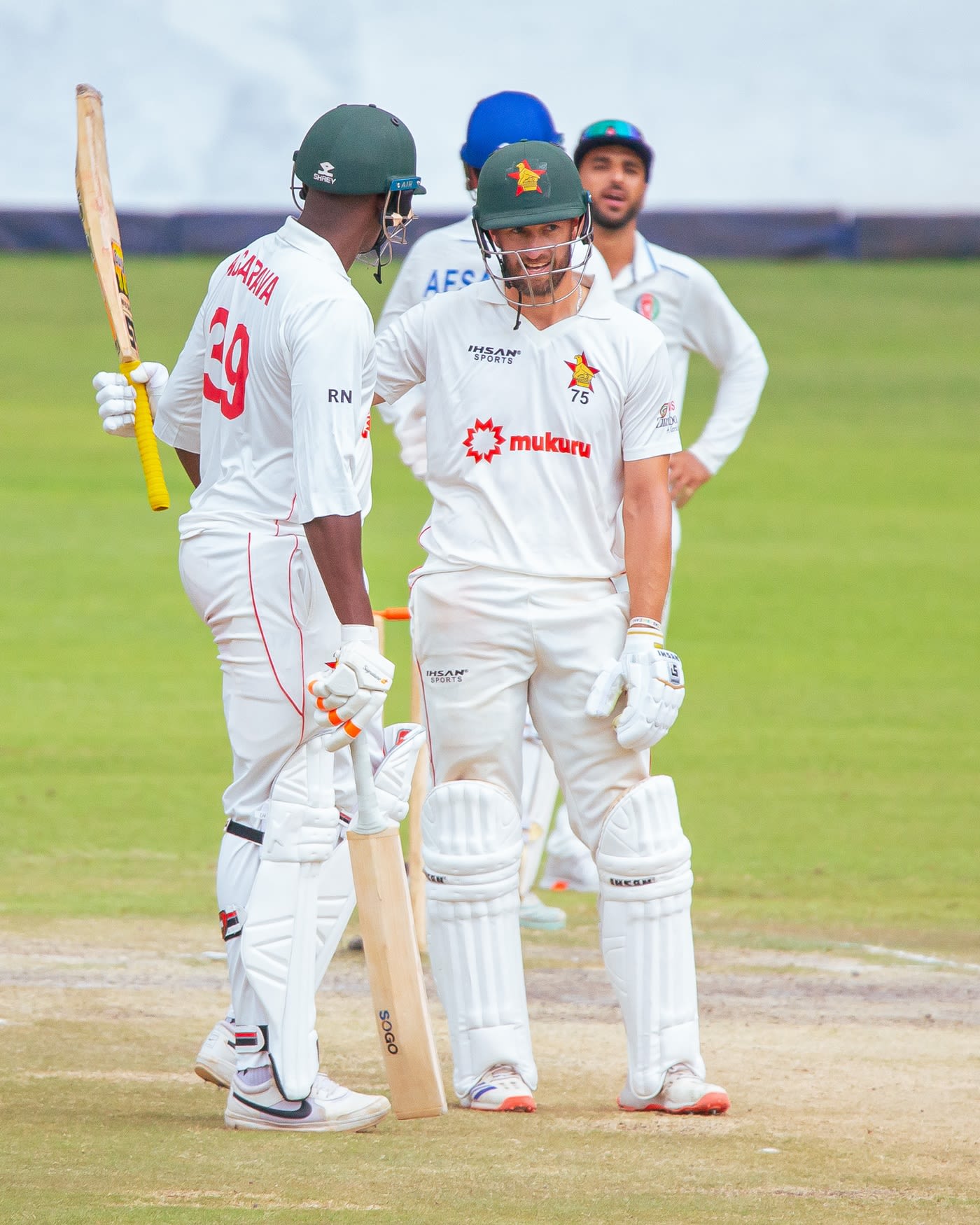 Craig Ervine scored a valiant half-century | ESPNcricinfo.com