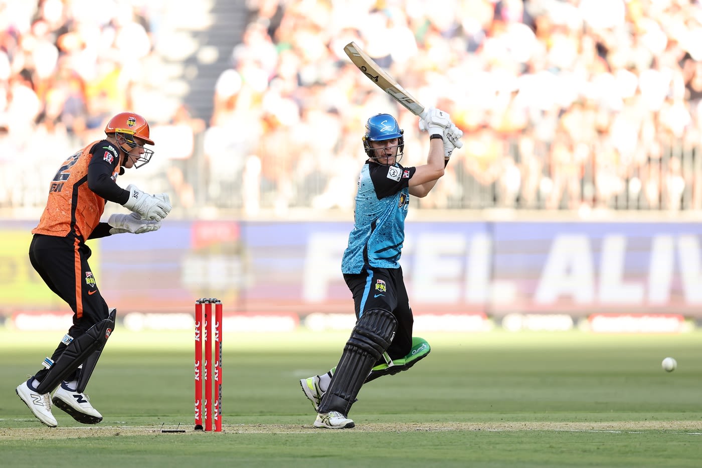 Liam Scott's brisk fifty lifted Adelaide Strikers | ESPNcricinfo.com
