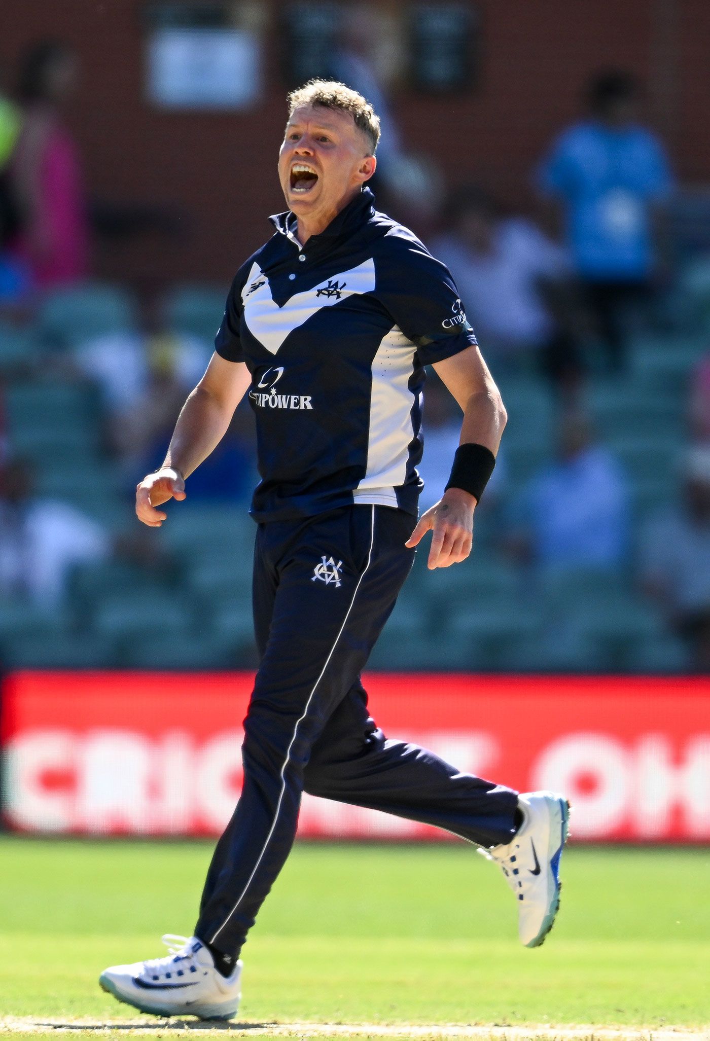 Peter Siddle bowled superbly in what will likely be his last one-day ...