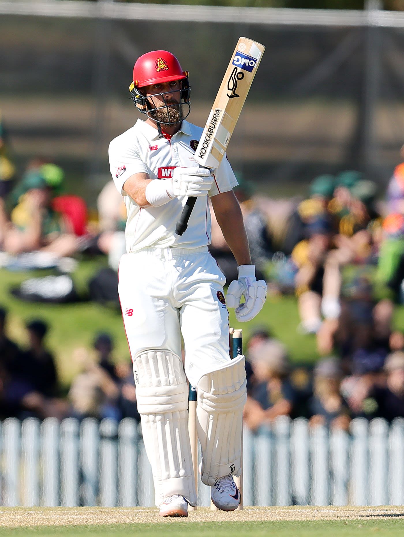 Jake Lehmann raises the bat for his half-century | ESPNcricinfo.com