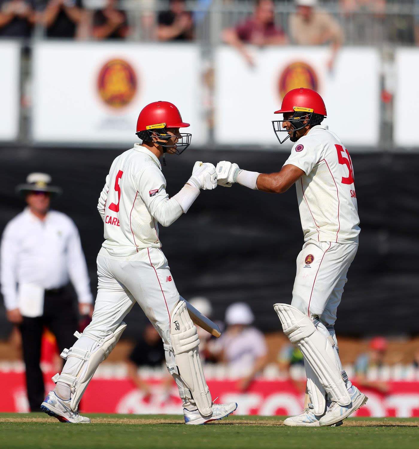 Jason Sangha and Alex Carey shared a match-winning 202-run stand ...