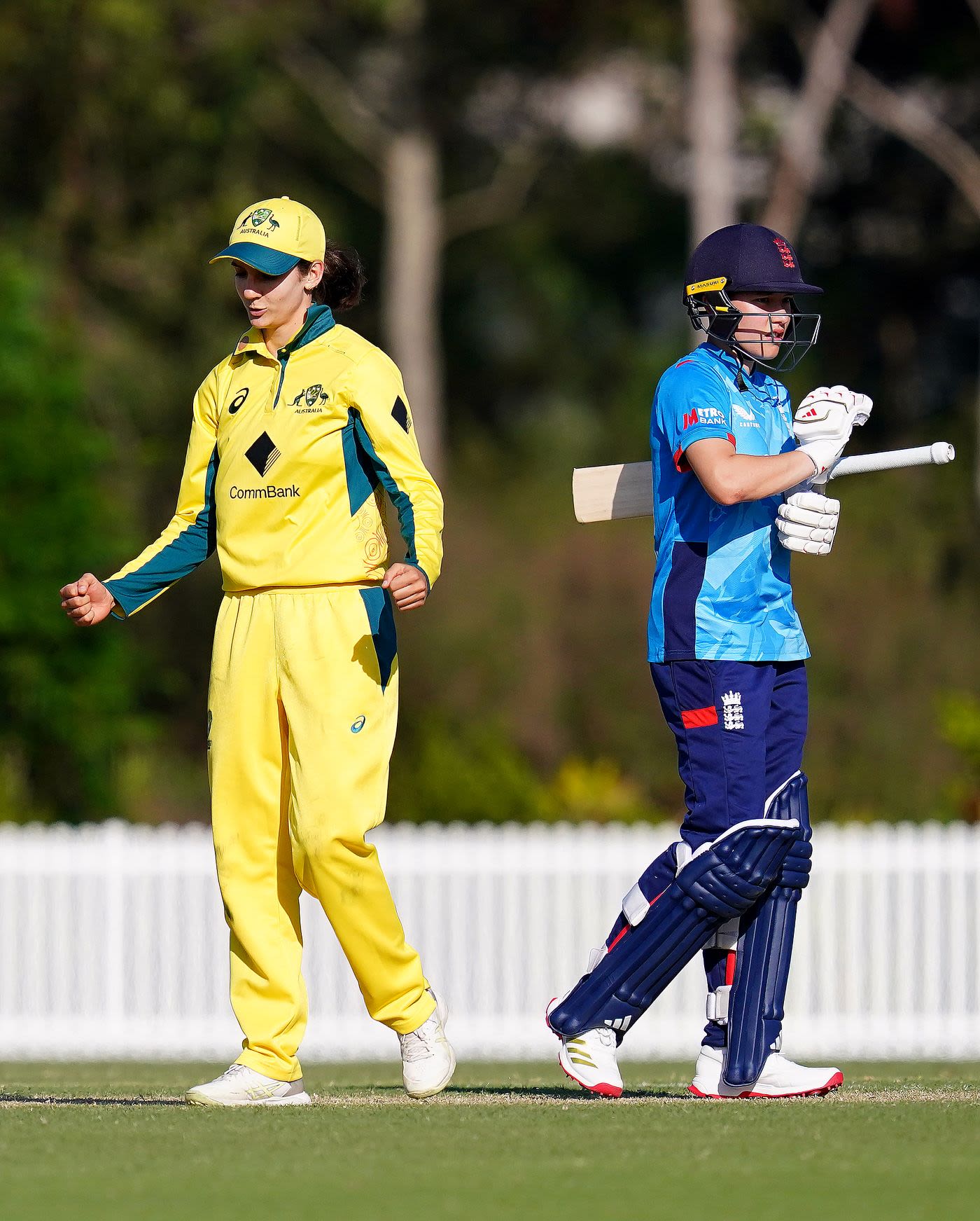 Charli Knott took 4 for 14 | ESPNcricinfo.com