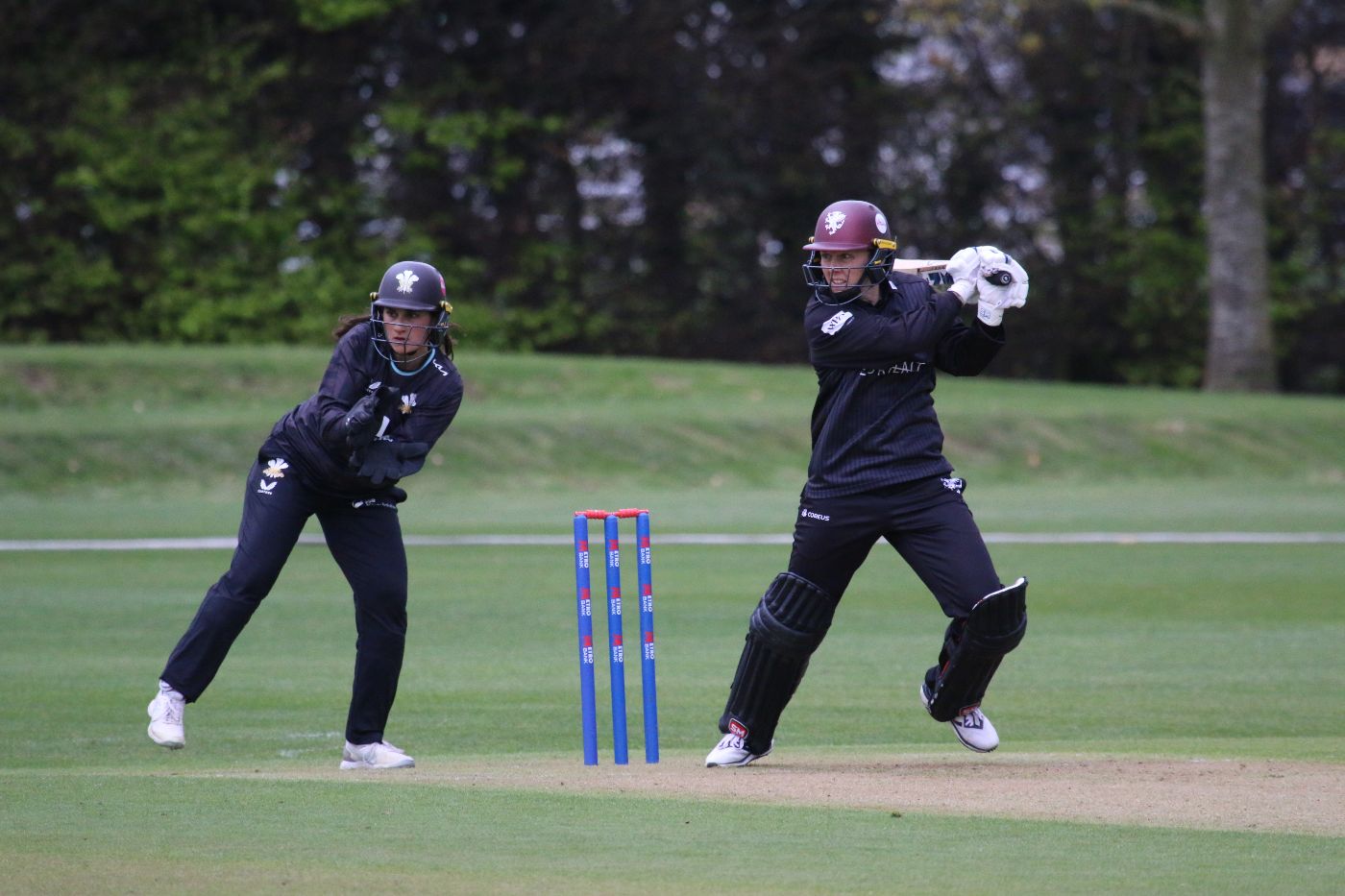 Heather Knight made an attacking half-century for Somerset ...