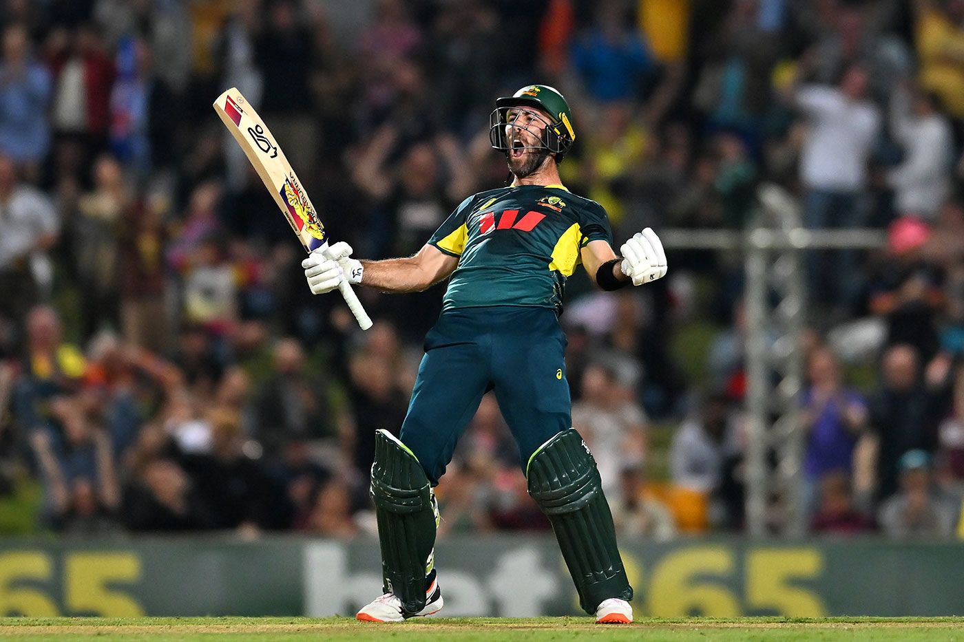Glenn Maxwell celebrates the winning moment | ESPNcricinfo.com